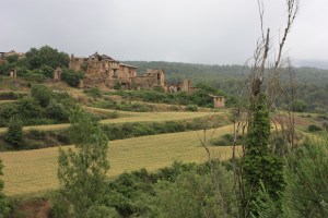 Journalism – Kate McCallum